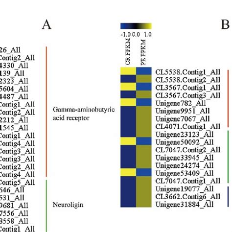 Degs Related To Nervous System And Signal Transduction In The Larval