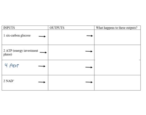 Inputs And Outputs Of Glycolysis Quiz