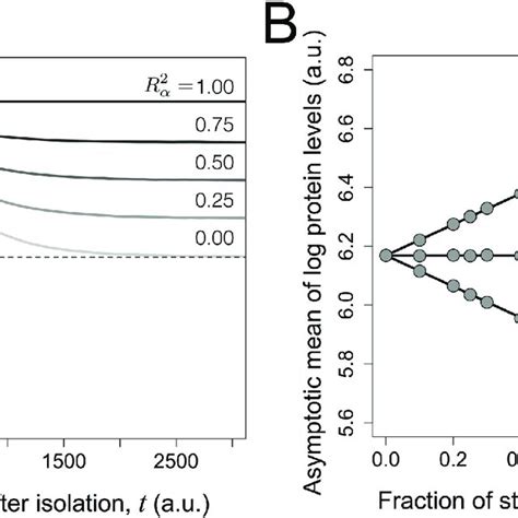 Simulation Of Transient Dynamics And Asymptotic Limits Of The Mean Download Scientific Diagram