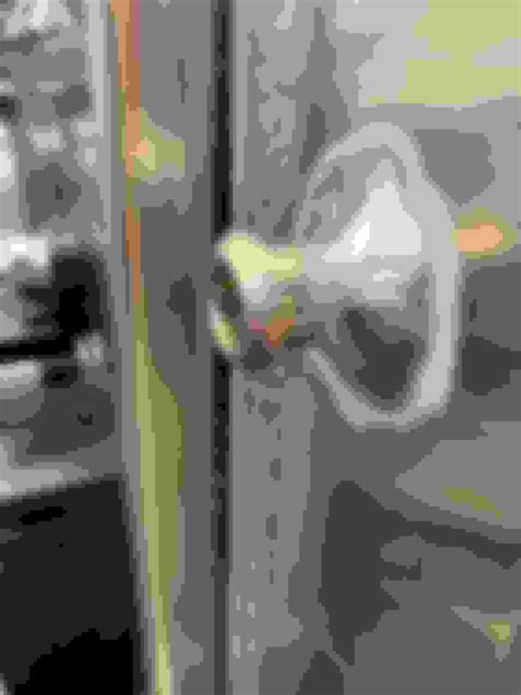 Radiator Overflow Hose Fitting Corvetteforum Chevrolet Corvette Forum Discussion