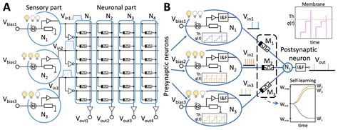 Neuromorphic Analog Machine Vision Enabled By Nanoelectronic Memristive Devices