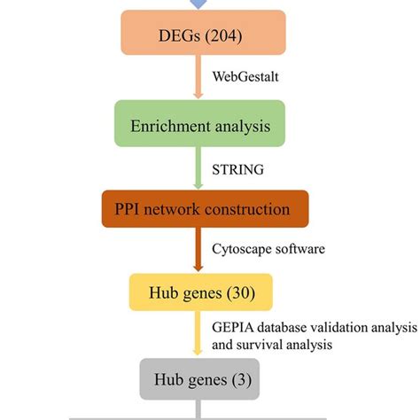 Flowchart Illustrating The Screening And Validation Of Hub Genes In Download Scientific Diagram