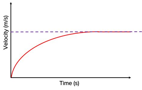 Motion Graphs Questions And Revision Mme