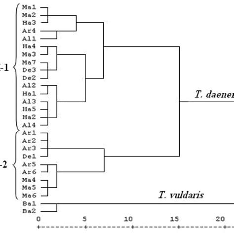 Dendrogram Of Similarity Among 27 Thymus Genotypes Based On