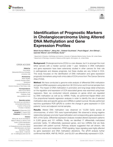 Pdf Identification Of Prognostic Markers In Cholangiocarcinoma Using Altered Dna Methylation