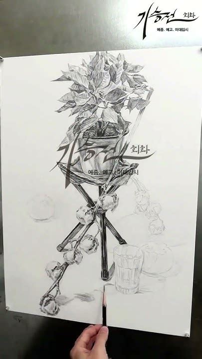 2023 예원학교 소묘 기출문제 3시간 30분 진행과정 포인세티아 낚시의자 목화솜 유리컵 단감 정물소묘 Youtube