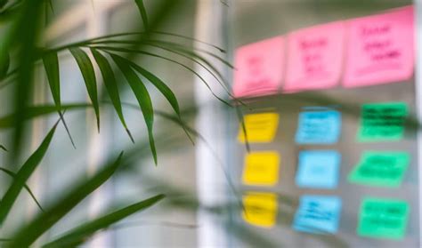 Wat Is De Rol Van Management Bij Scrum En Agile
