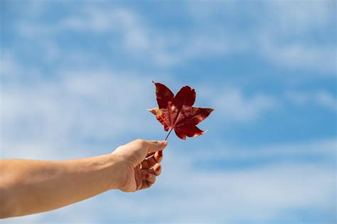 离开 天空 手 Pixabay上的免费照片