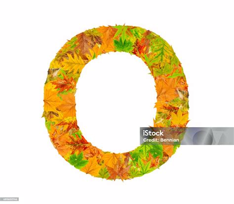 가 만든 알파벳의 편지 O 단풍 0명에 대한 스톡 사진 및 기타 이미지 0명 10월 9월 Istock