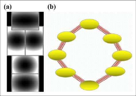 A Model For Detecting Human Body Proposed In Ref 42 B A Ring