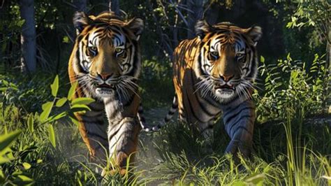 Aunt Jennifers Tigers Summary Explained In 1min For Class 12 English