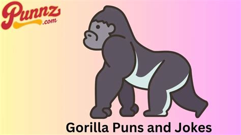 210 Gorilla Puns And Jokes 🦍
