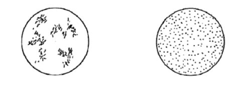 Immunodiagnostics Flashcards Quizlet