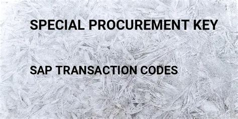 Special Procurement Key Tcode In Sap Transaction Codes List