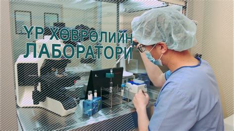 Rmc Үр шилжүүлэн суулгах үндэсний төв Youtube