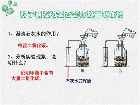 初中生物北师大版七年级上册第2节 呼吸作用示范课ppt课件 教习网 课件下载