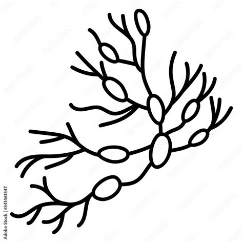 Alveoli Concept Pulmonary Veins Vector Outline Icon Design Organ