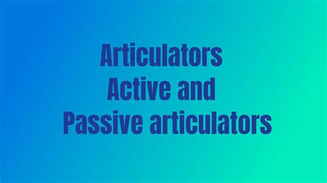 Articulators Active And Passive Articulators Youtube