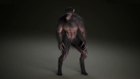 Werewolf Transformation Sequence