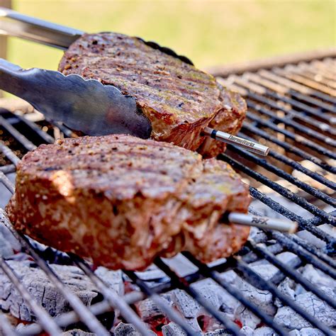 Thermoworks Rfx Probe The Grill Guys