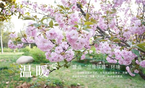 洛阳殡仪馆