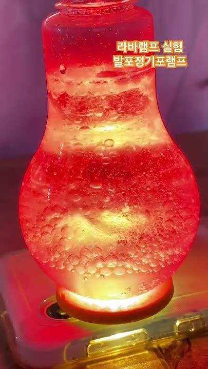 과학실험 라바램프 만들기 Youtube
