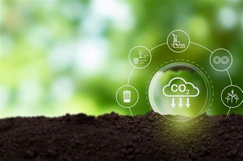 Mercado De Carbono O Que Falta Para Se Tornar Uma Realidade