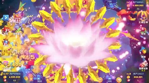 မြန်မာတို့ရဲ့ အကြိုက်ဆုံးဖြစ်တဲ့ ရှမ်းကိုးမီး ငွေပွားဂိမ်း Youtube