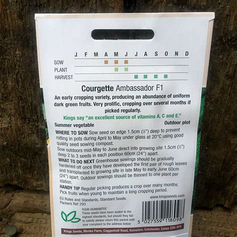 Courgette Ambassador F1 Markeaton Garden Centre