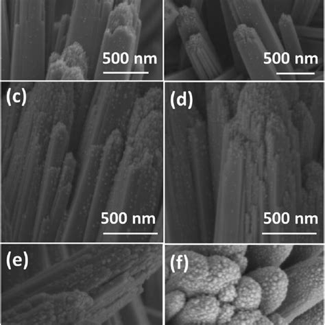 Xrd Patterns Of The Different Samples Ti Metal And ★ Rutile Phase