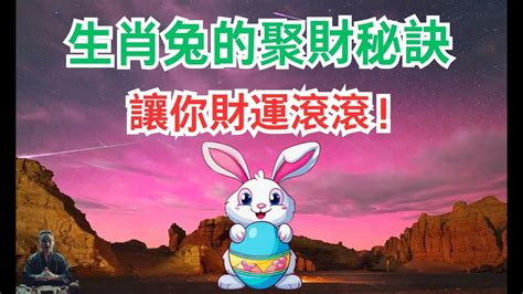 生肖兔的聚財秘訣祖祖輩輩流傳的招財妙招月下施展神奇法術讓你財運滾滾 2024年生肖兔運勢 2024年生肖兔運程 2024年屬兔運勢