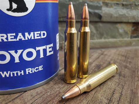 Creamed Coyote With Rice 223 Remington 55 Grain Btsp 2700 Fps 60