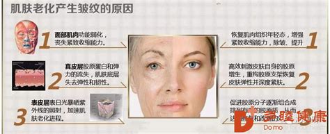 人体内的干细胞与衰老有何关系有没有副作用 多睦健康海外高端医疗
