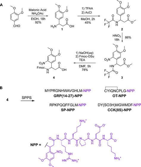 A Biomimetic C Terminal Extension Strategy For Photocaging Amidated