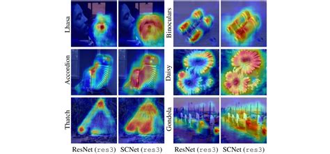 Improving Convolutional Networks With Self Calibrated Convolutions 郑之