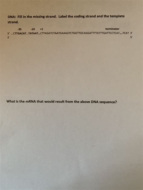 Solved DNA Fill In The Missing Strand Label The Coding Chegg