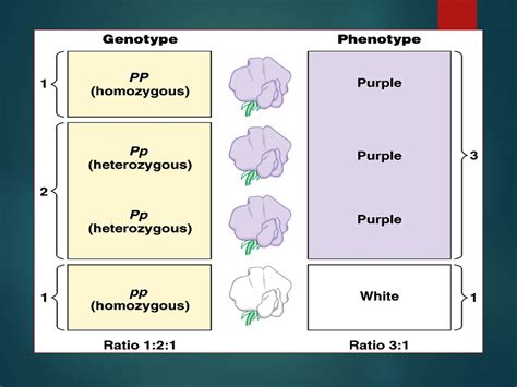g8 science q4 week 3 patterns of inheritance ppt genetics science