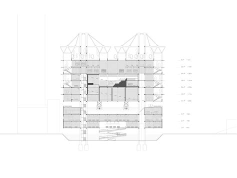 Commons Ii More Than Human Assemblies公共 之二：超越人类的集合 Hku Faculty Of