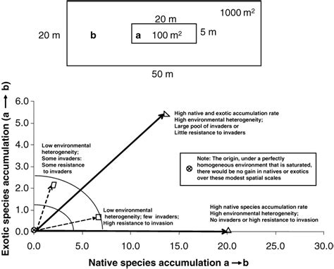 Theoretical Relationships Of Native And Exotic Accumulation Of Species Download Scientific