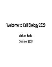 Lecture A Intro To Cells Pdf Welcome To Cell Biology Michael Becker Summer