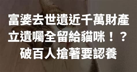 富婆去世遺近千萬財產 立遺囑全留給貓咪！？ 破百人搶著要認養 生活大小事 阿暉律師