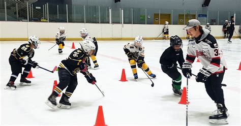 문체부 아이스하키·라크로스 등 8개 종목 아이리그 지원