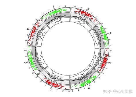 学习笔记 R包circlize一 知乎