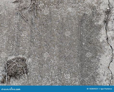 Stone Wall Old Dry Moss And Grass Stock Image Image Of Closeup