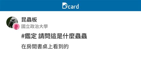 鑑定 請問這是什麼蟲蟲 昆蟲板 Dcard