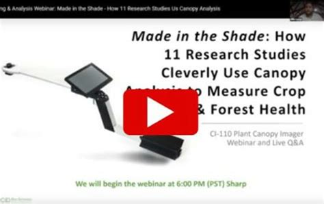 The Importance Of Leaf Area Index Lai In Environmental And Crop