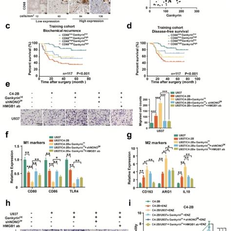 Gankyrin Facilitates Prostate Cancer Progression Via Interaction
