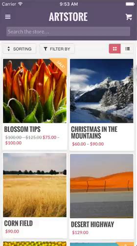 MobileStore A WPtouch WooCommerce WordPress Theme