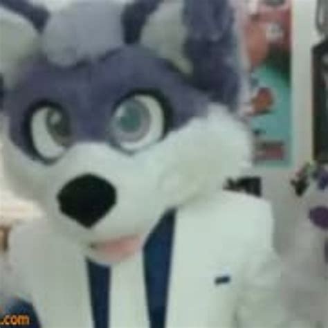 Stream Packgod Vs Omegle Furry By Pack God Listen Online For Free On