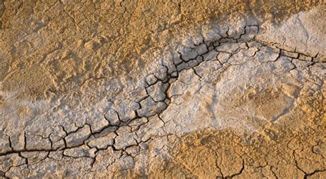Soil Salinization And How To Prevent And Manage Its Adverse Effects